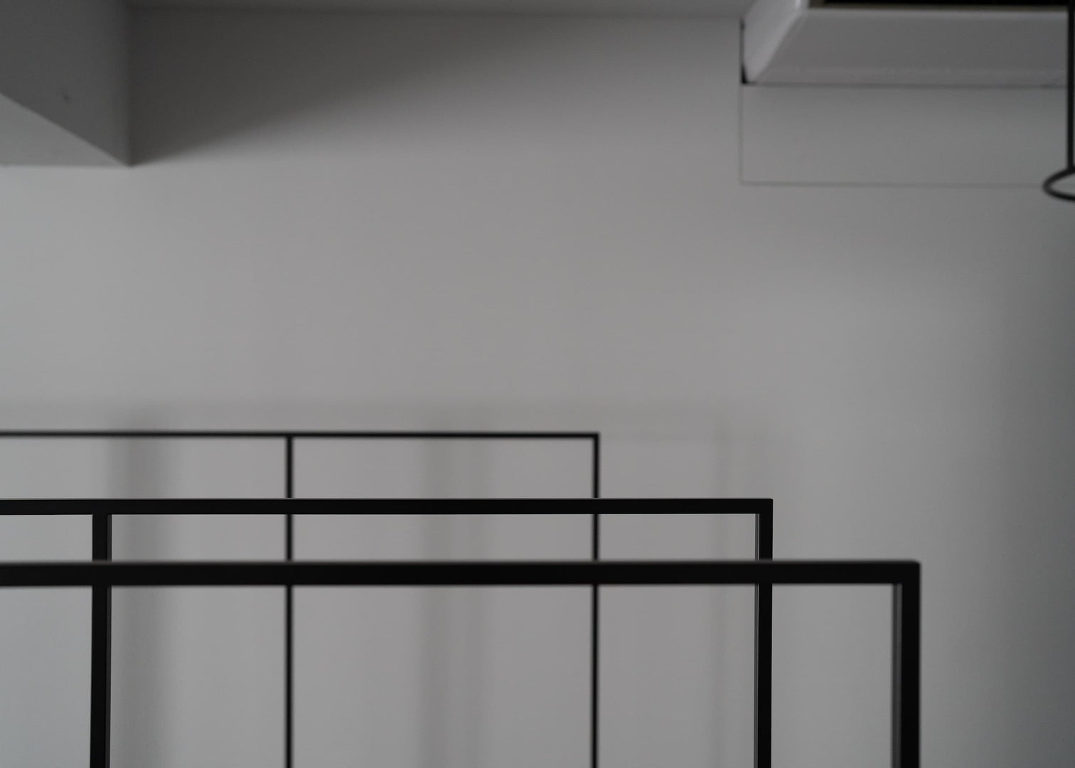 ABOUT – carol ONLINE STORE